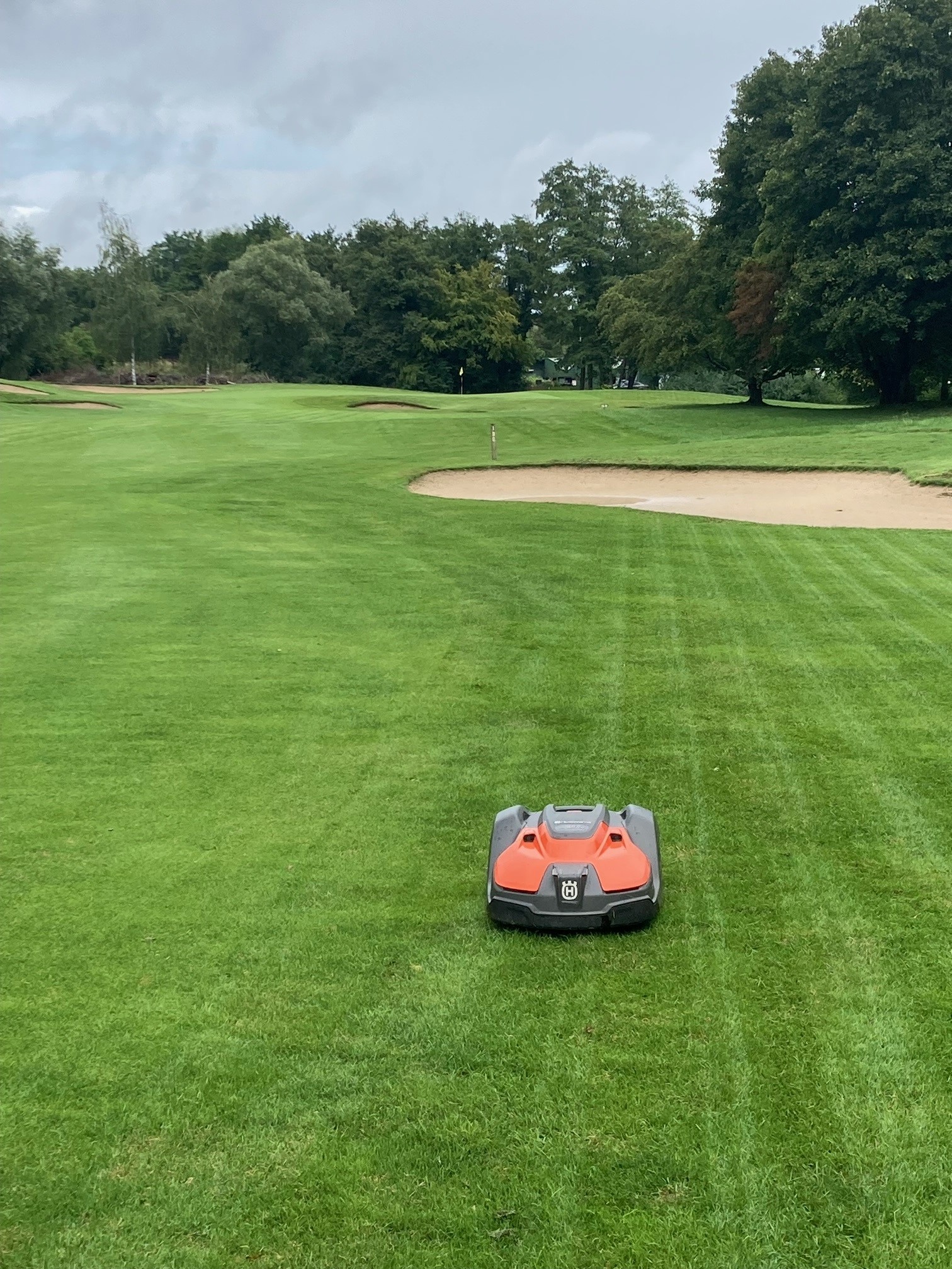Robotic mowers - Golf International Soufflenheim Baden-Baden